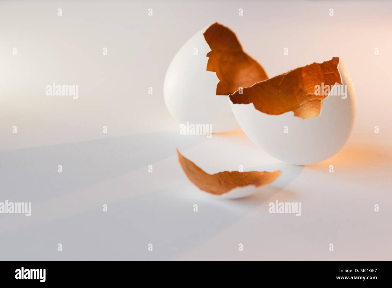 A symbol of new life, eggs shells. Decorative, gold color inside Stock ...