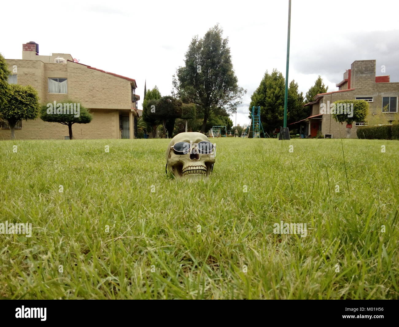 Skull behind hi-res stock photography and images - Alamy