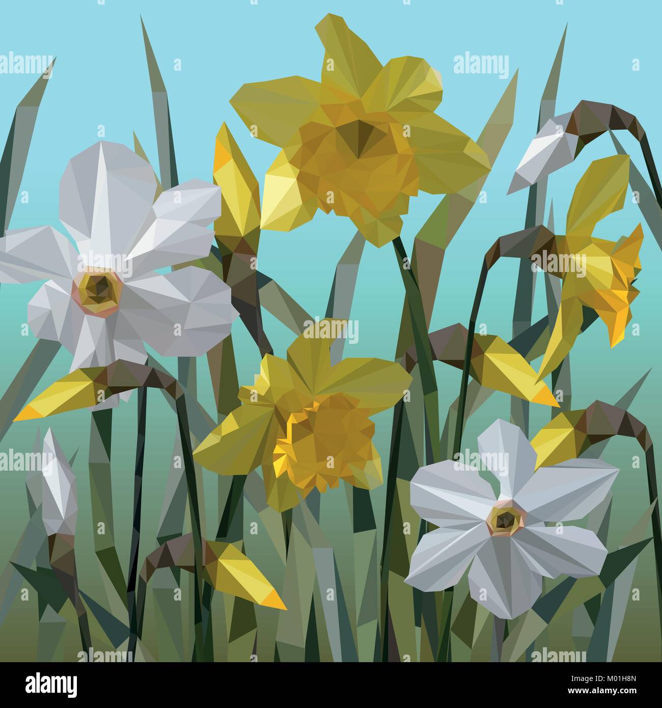 Vector of daffodil flowers isolated Stock Vector Image & Art - Alamy
