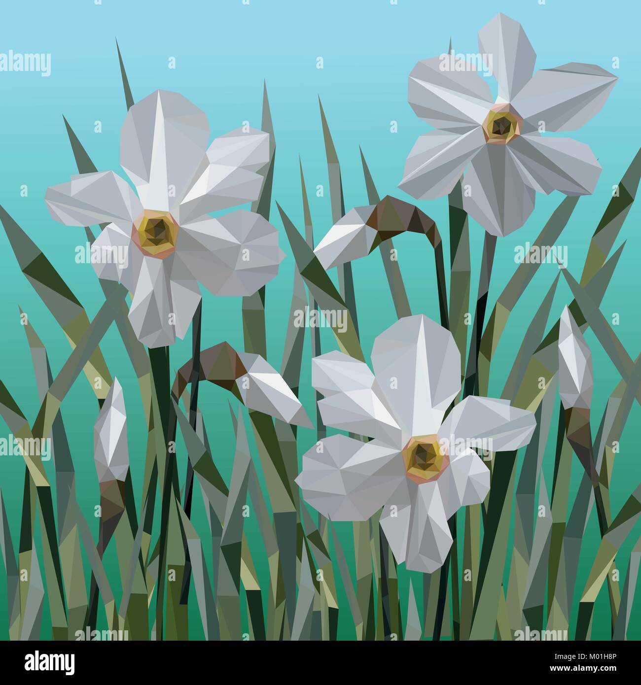 Vector of daffodil flowers isolated Stock Vector Image & Art - Alamy