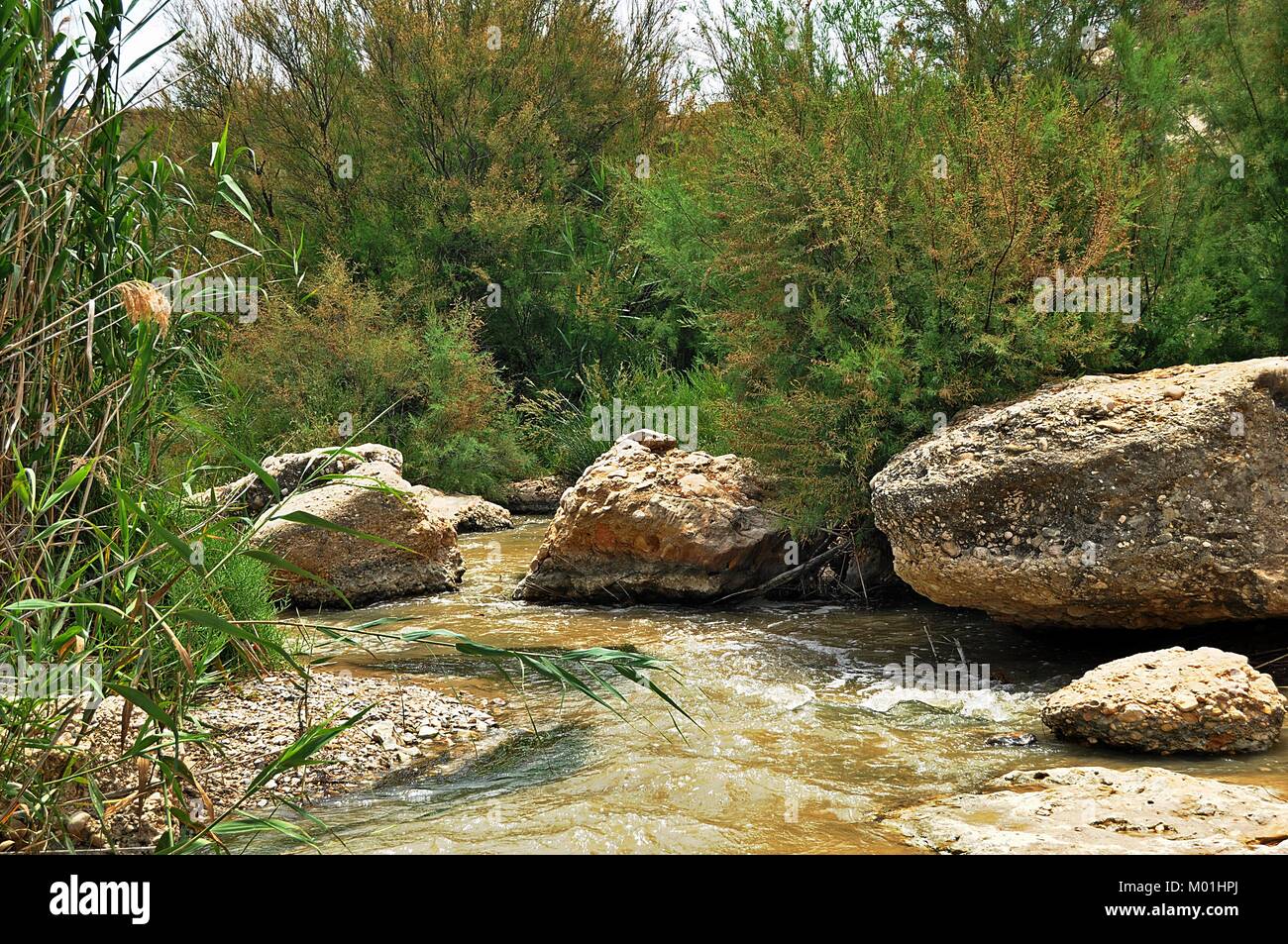 Vinalopo River, Beautiful natural landscape, Elche, Spain Stock Photo ...