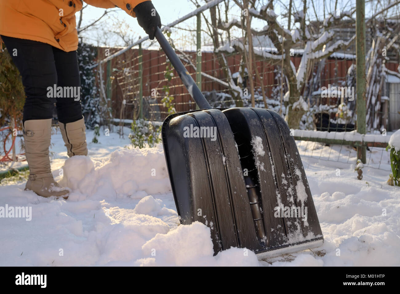 Woman Shoveling her garden in morning time Stock Photo - Alamy