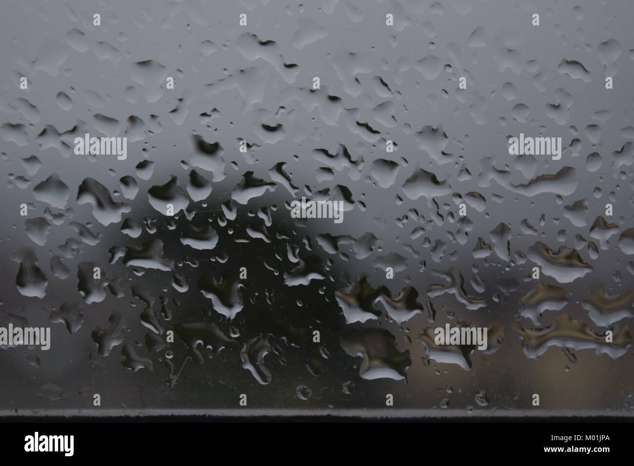 Water Droplets on glass Stock Photo - Alamy