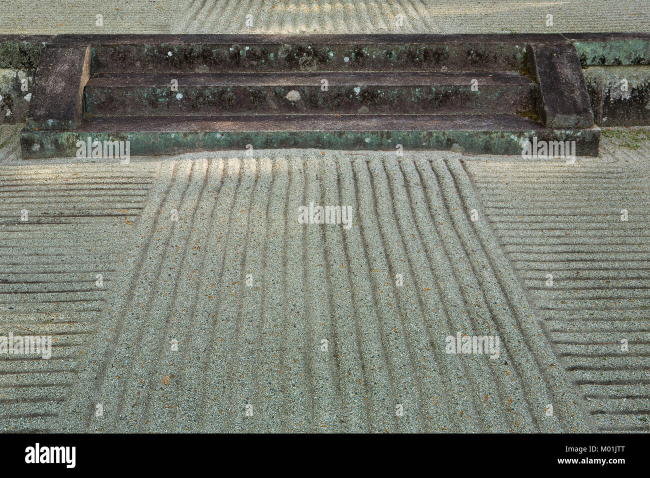 Dry garden hi-res stock photography and images - Alamy
