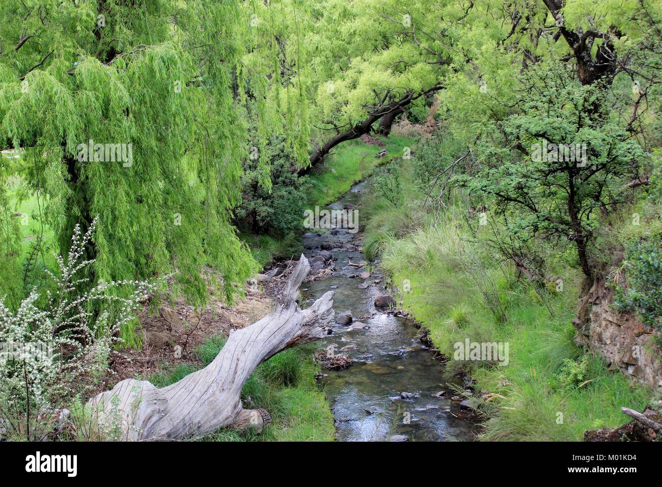Still waters,South Africa Stock Photo - Alamy
