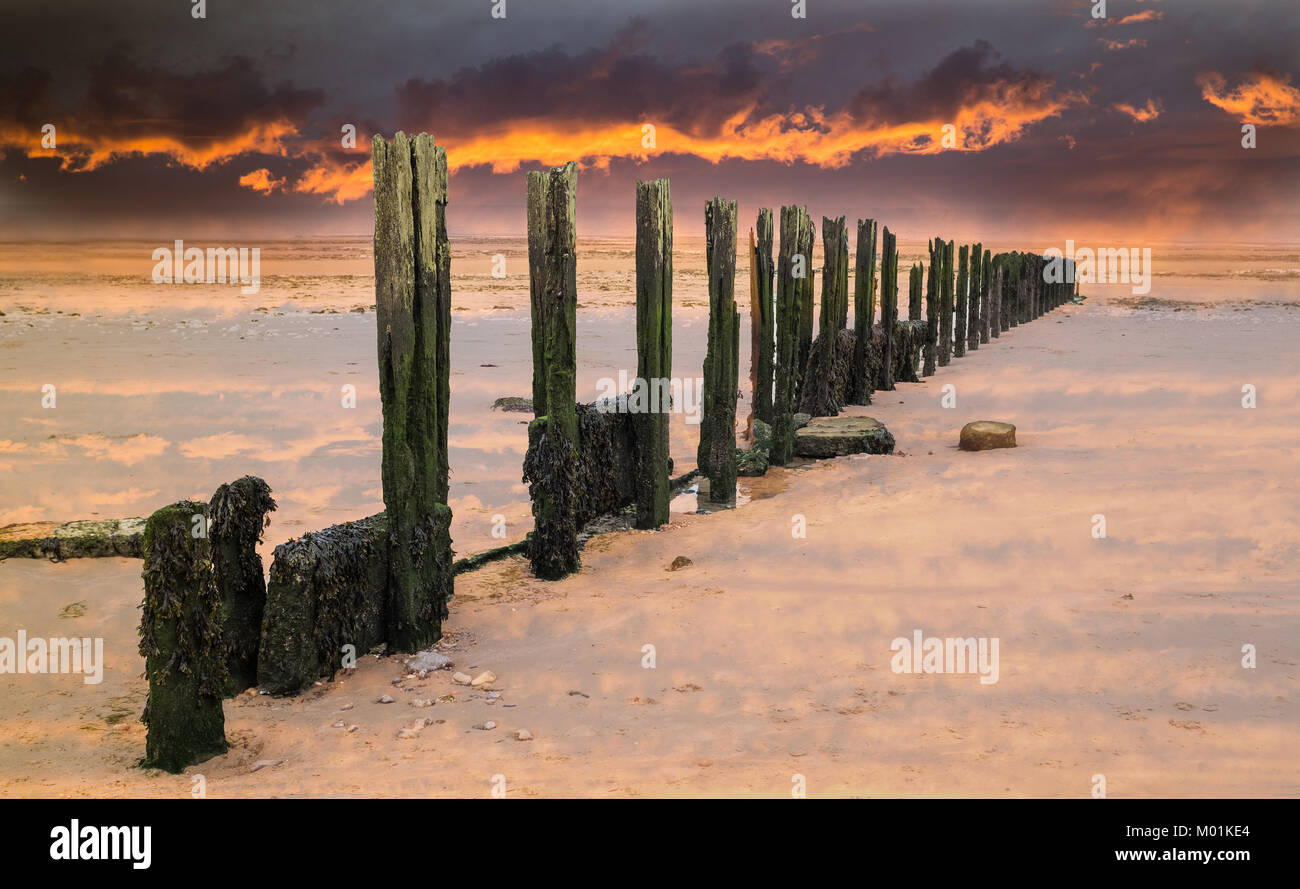 fiery golden sunset sky over an old wooden water breaker, groyne ...