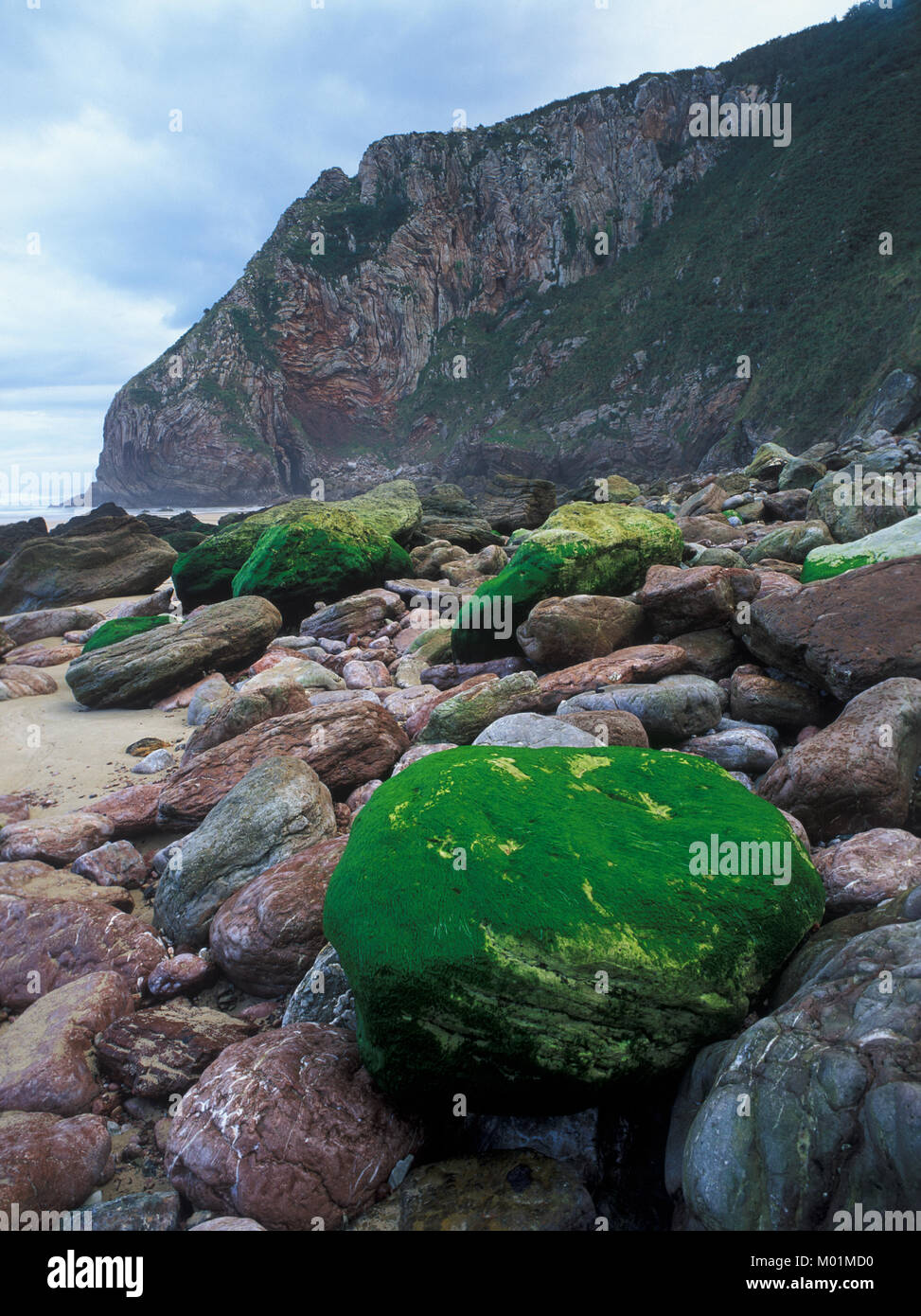 Playa Isla Ballota Llanes Costa Oriental Mar Cantábrico ASTURIAS Stock ...