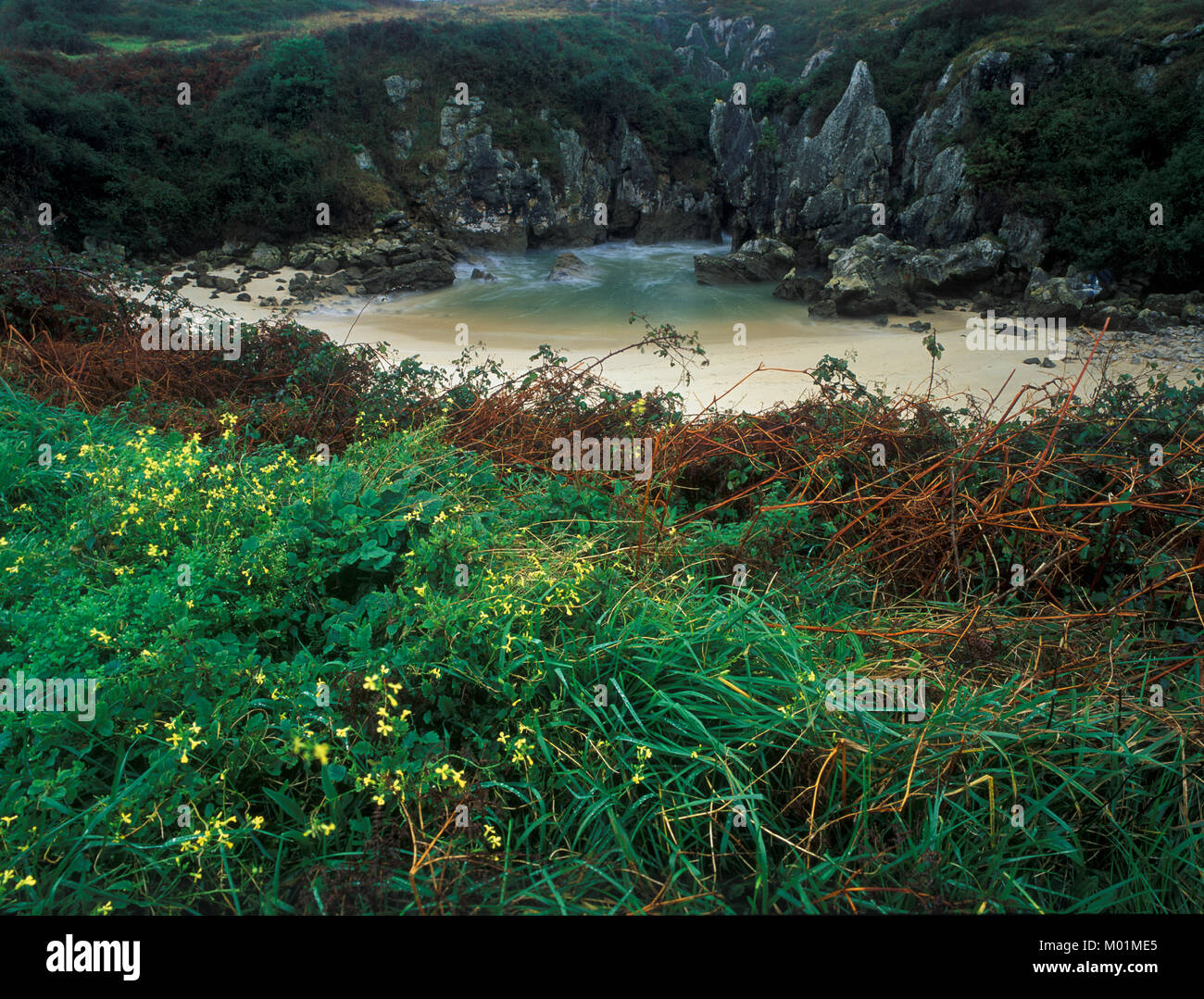 Gulpiyuri beach, Costa Oriental Mar Cantábrico ASTURIAS Stock Photo - Alamy