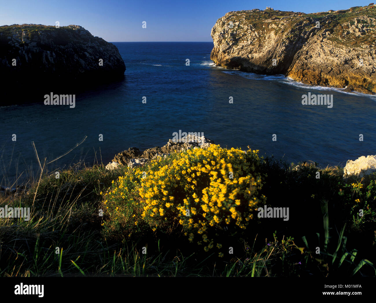 Paisaje en asturias hi-res stock photography and images - Alamy