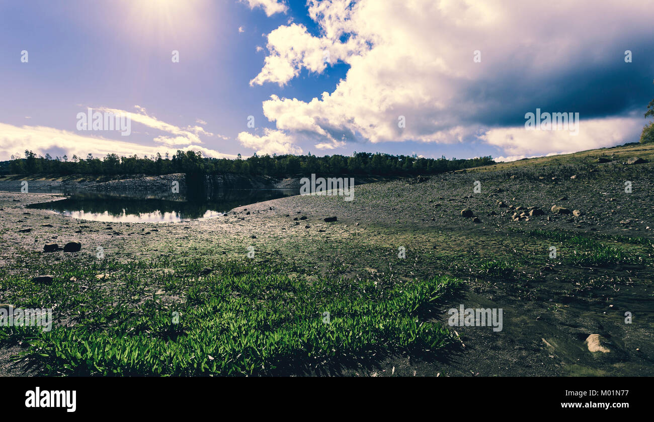 Vegetation on the edge of the lake Stock Photo - Alamy
