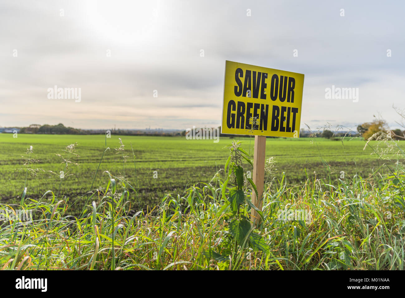Save our Green Belt signs next to green fields Stock Photo - Alamy