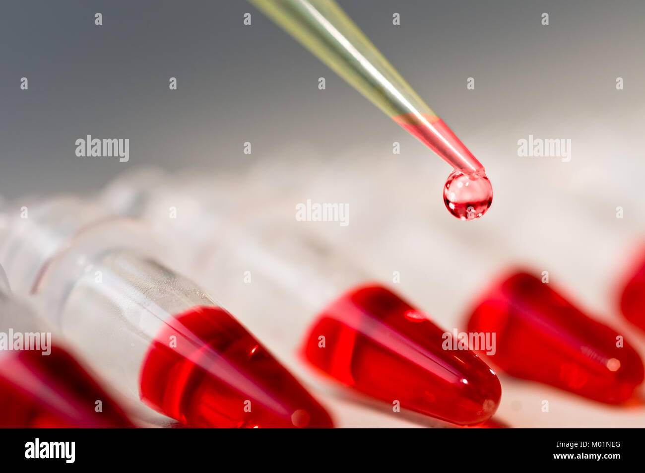 Pipette tip with a drop over plastic tubes filled in with samples Stock ...