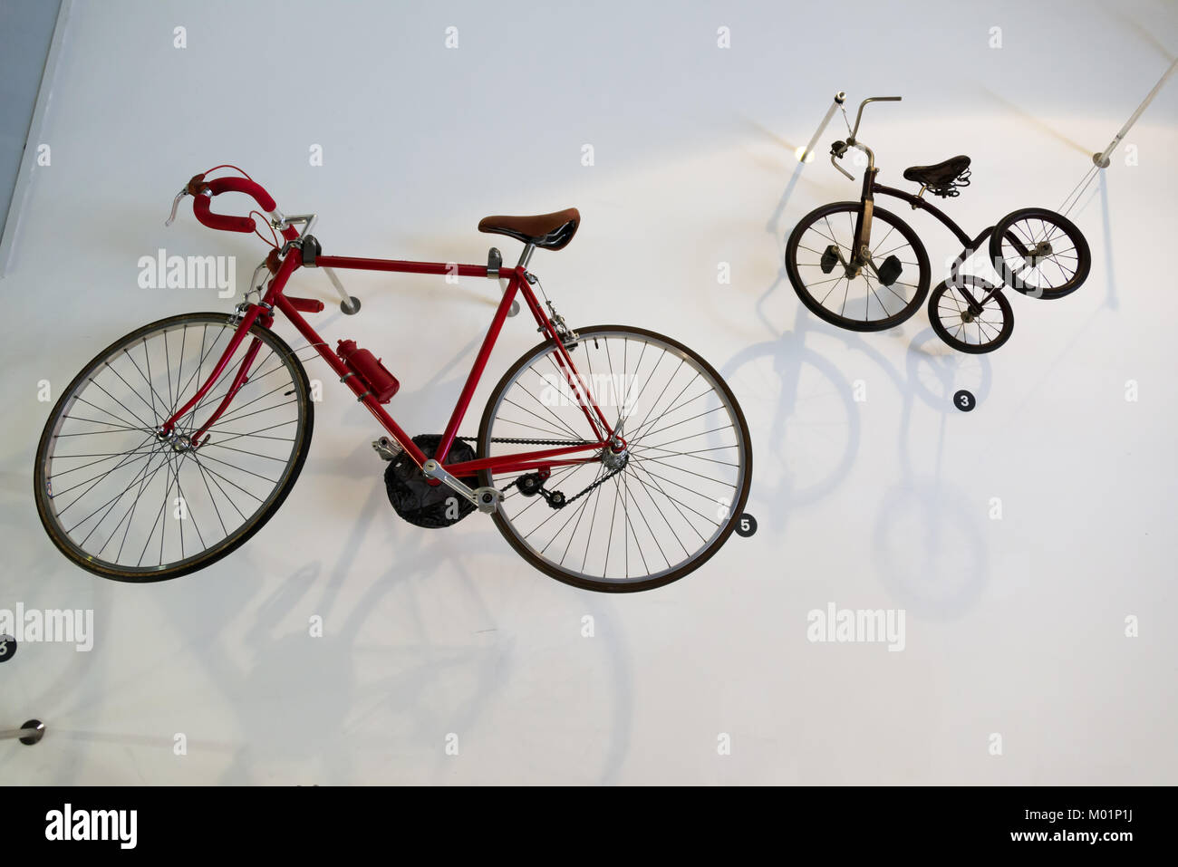 Visiting Bloomfield Science Museum Jerusalem in Israel Stock Photo - Alamy