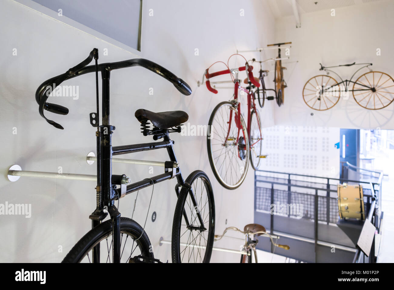 Visiting Bloomfield Science Museum Jerusalem in Israel Stock Photo - Alamy