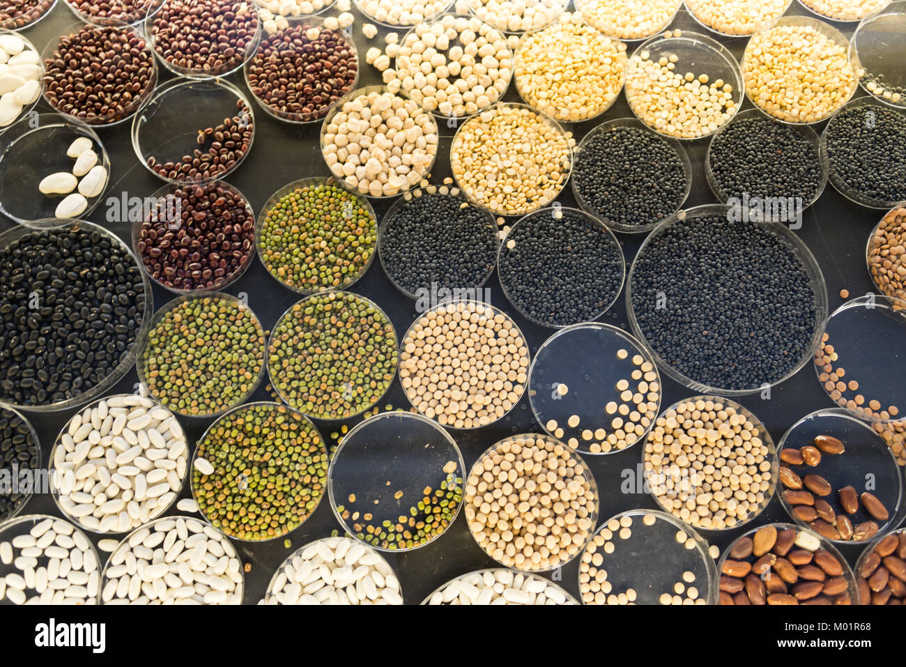 Visiting Bloomfield Science Museum Jerusalem in Israel Stock Photo - Alamy