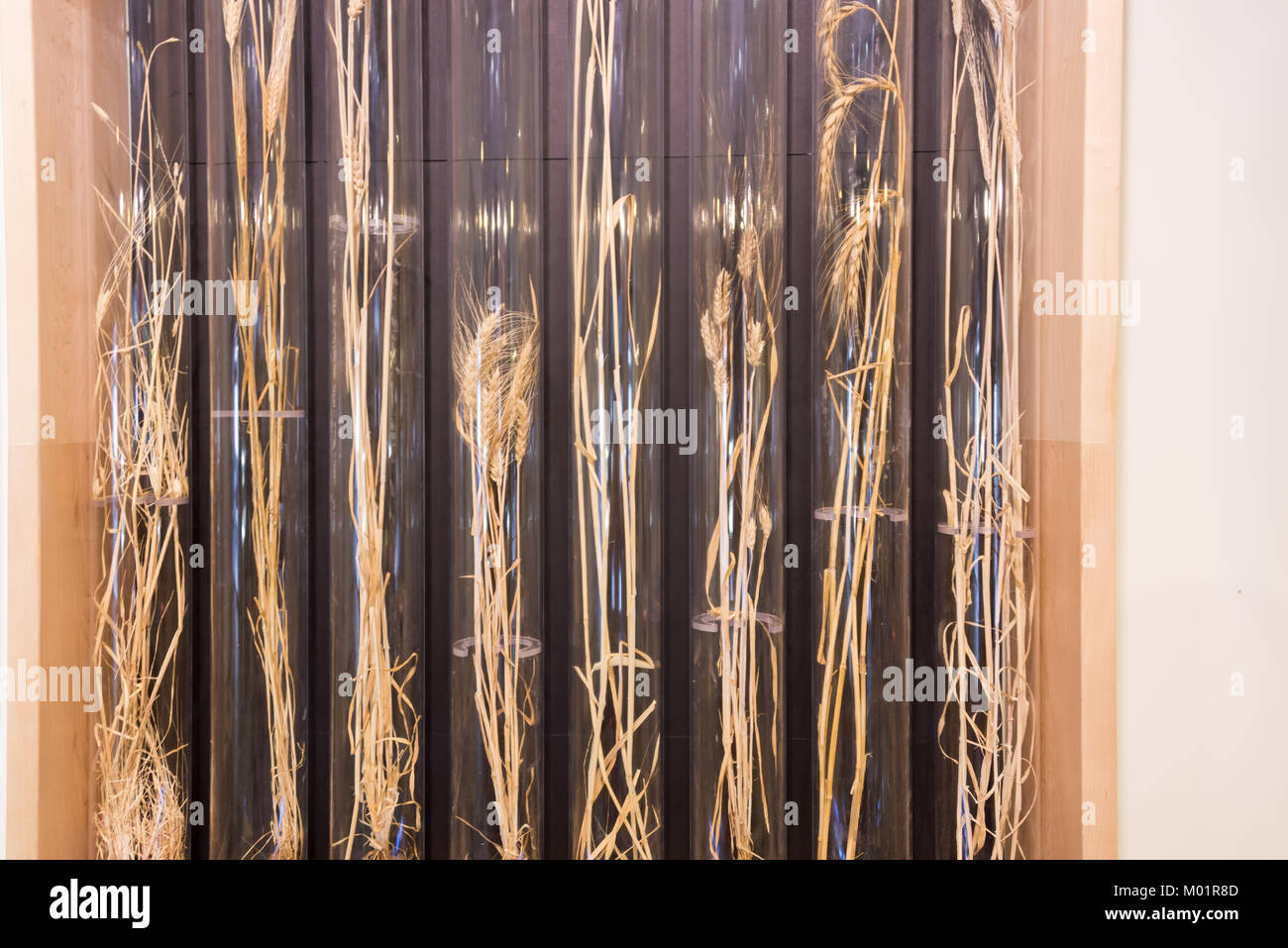 Visiting Bloomfield Science Museum Jerusalem in Israel Stock Photo - Alamy