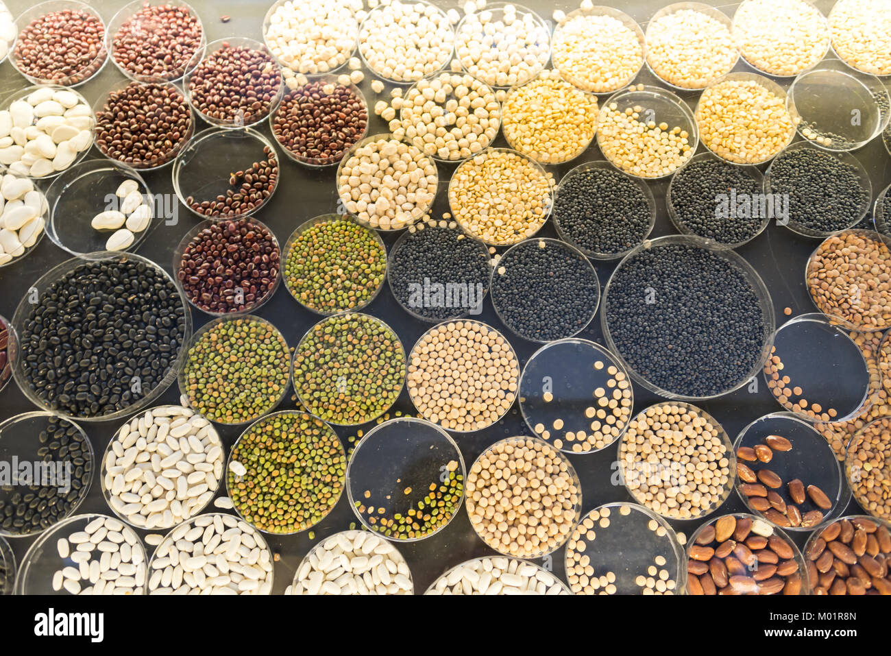 Visiting Bloomfield Science Museum Jerusalem in Israel Stock Photo - Alamy