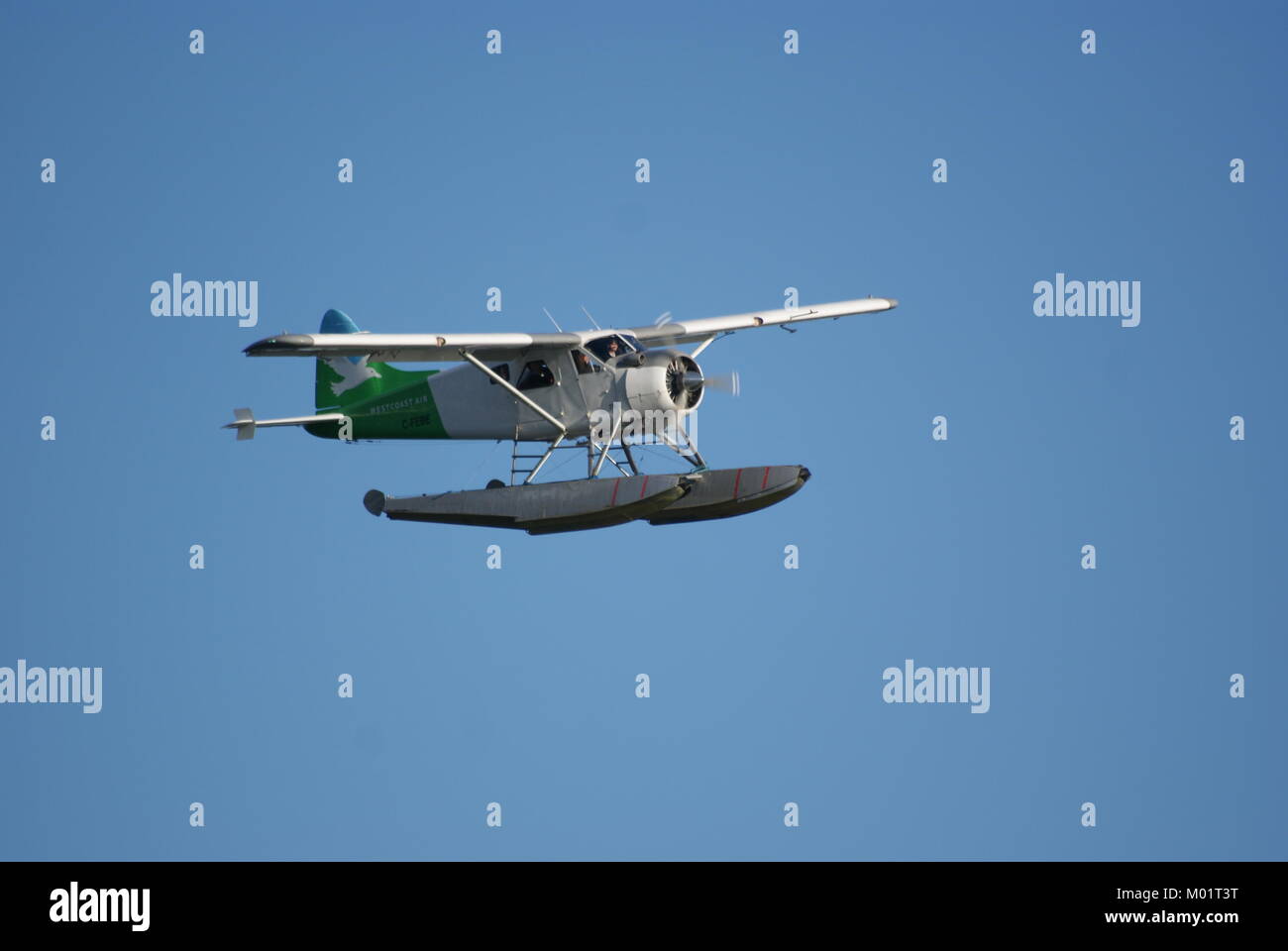 Cessna float plane sea plane hi-res stock photography and images - Alamy