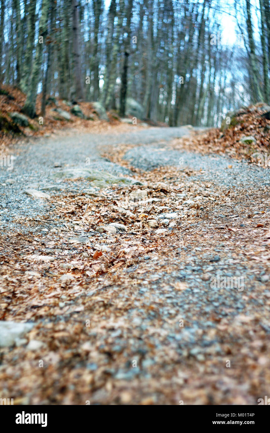 Peaceful hike hi-res stock photography and images - Alamy