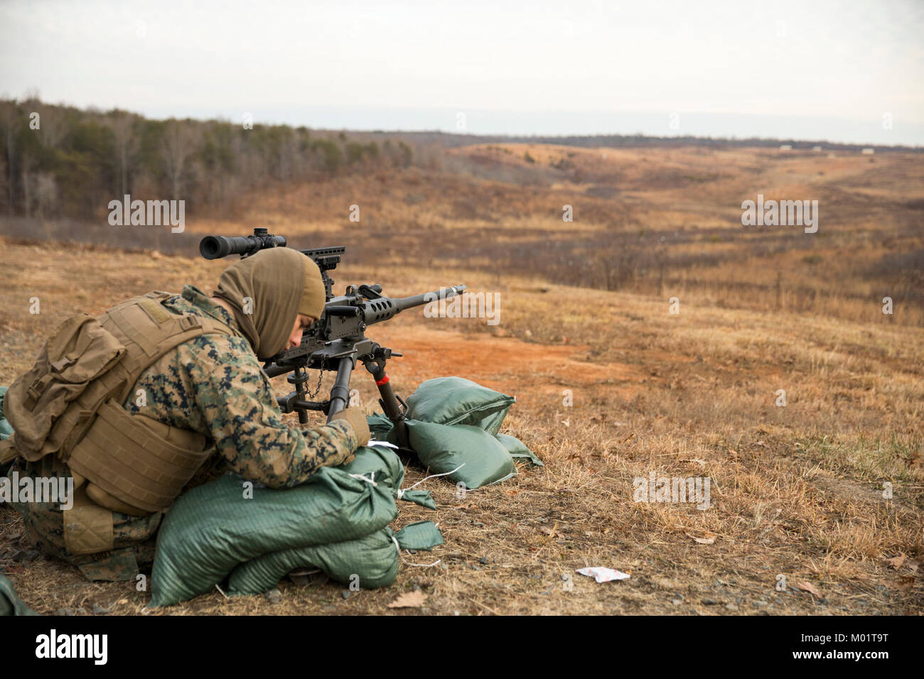 U.S. Marines assigned to Marine Corps Security Force Regiment (MCSFR ...