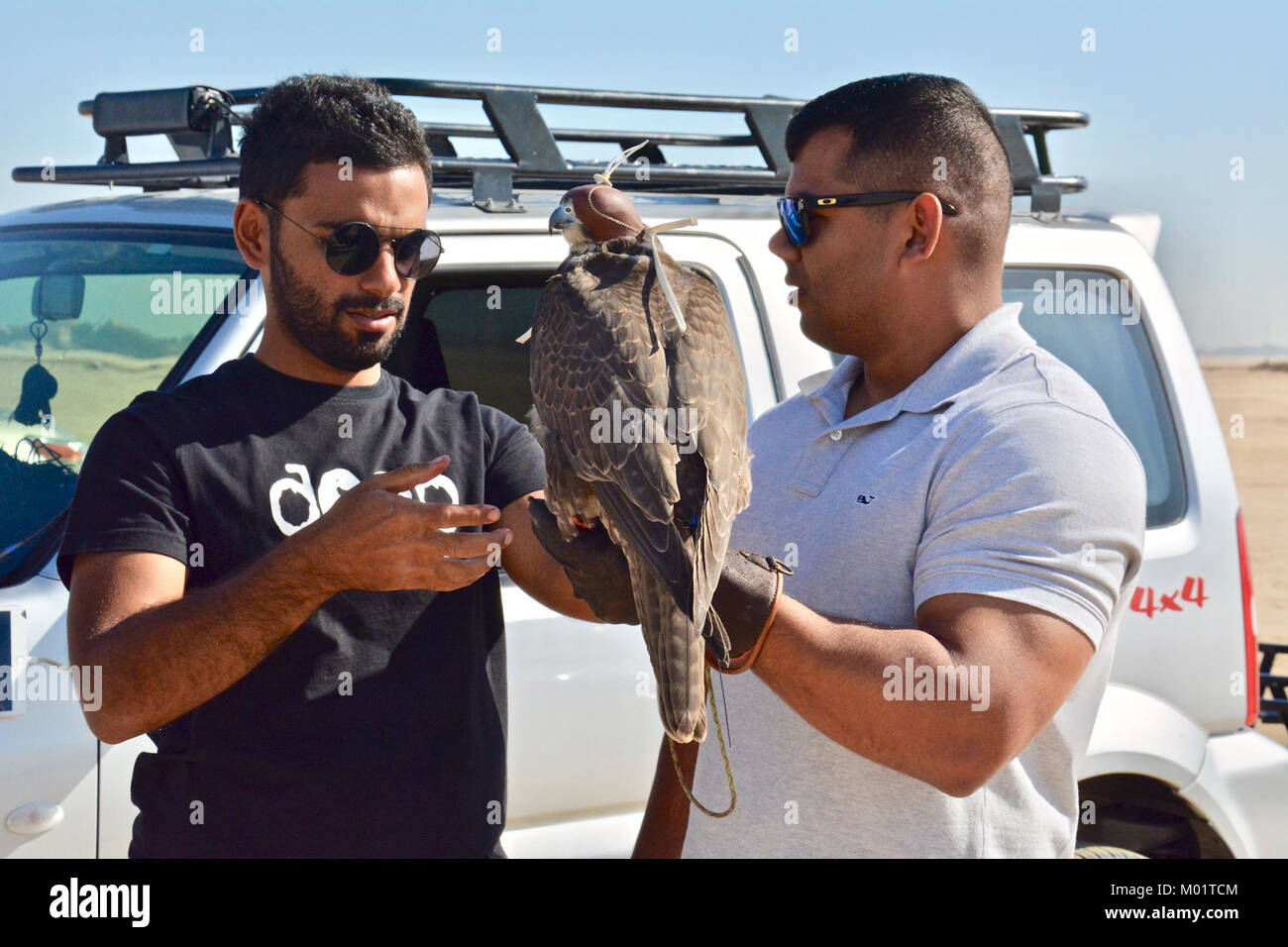 AL- ZOUR- Kuwait- Mohammad Al-Farhan, Falconer, teaches Cpt. Gawain ...