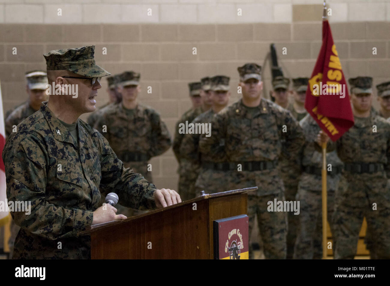 Col. Walker M. Field, commanding officer, 11th Marine Regiment, 1st ...