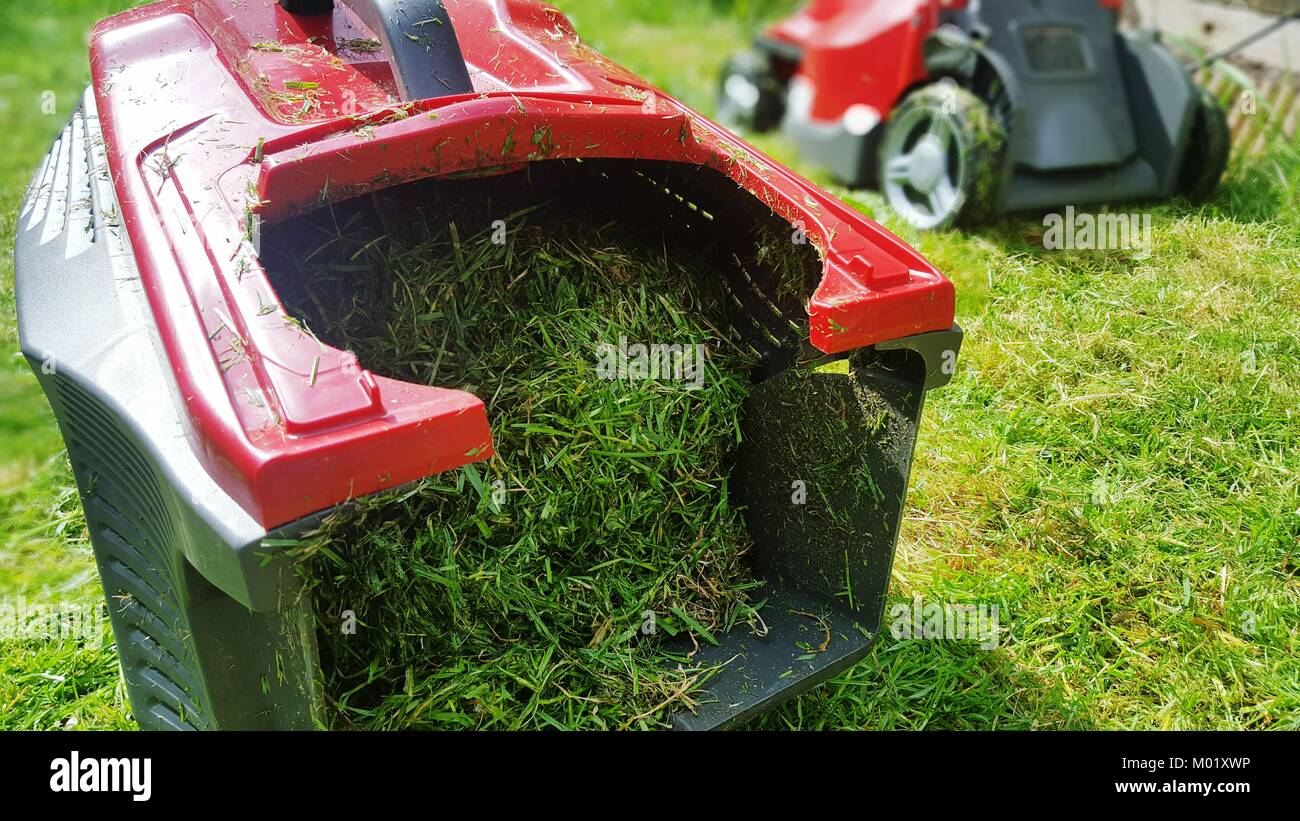 Box cutting machine High Resolution Stock Photography and Images - Alamy