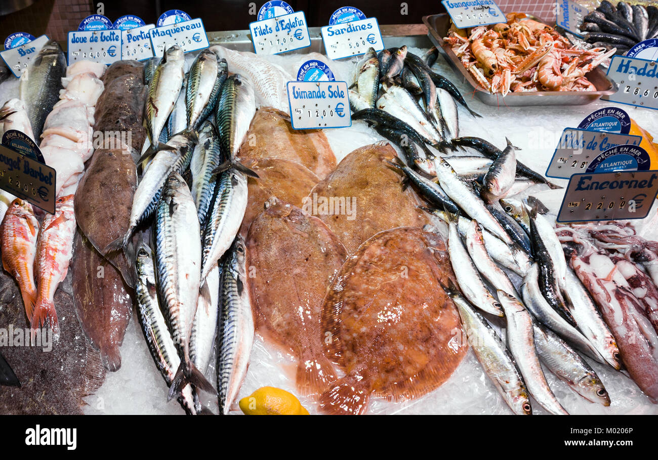 TREGUIER, FRANCE - JULY 2, 2010: various atlantic local fresh seafood ...