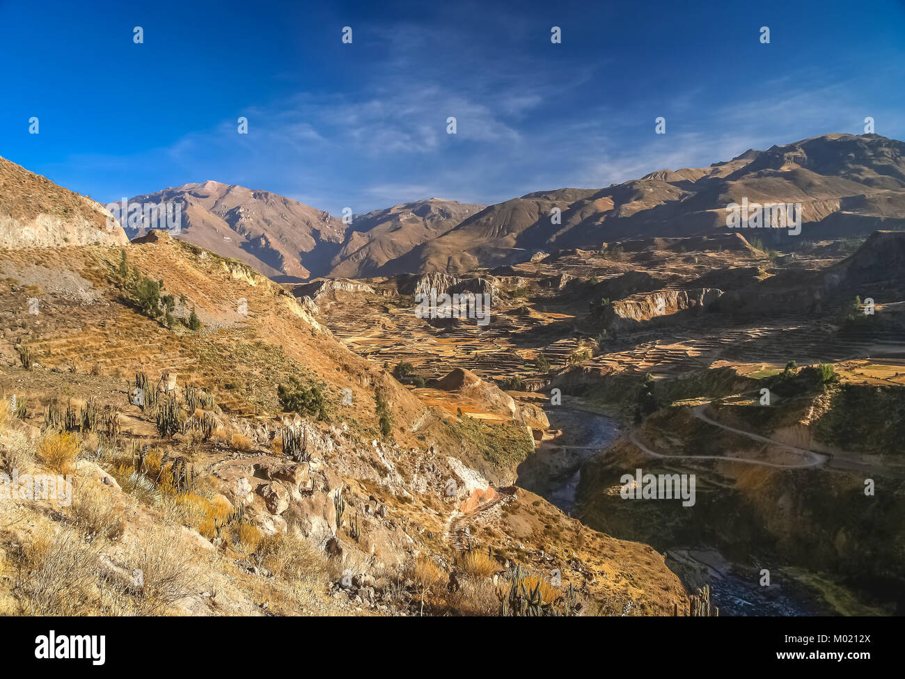 Very colorful chivas hi-res stock photography and images - Alamy