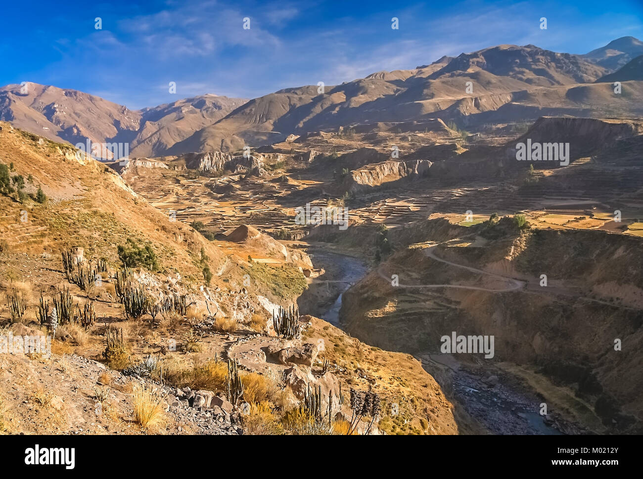 Very colorful chivas hi-res stock photography and images - Alamy