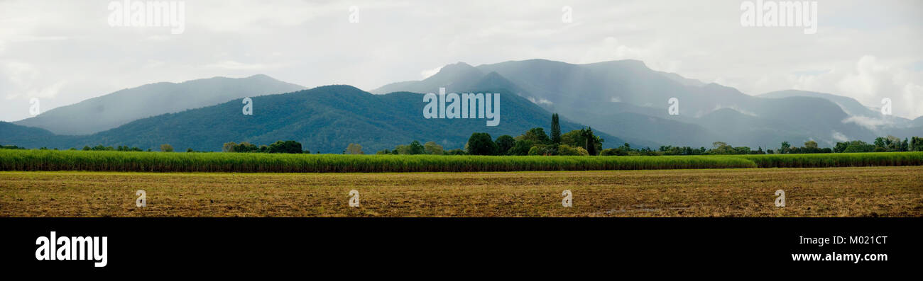 Cardwell Range, Ingham; North Queensland Stock Photo - Alamy