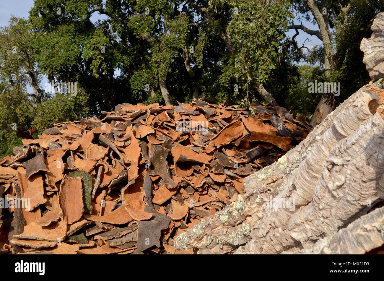 Cork bark pile hi-res stock photography and images - Alamy