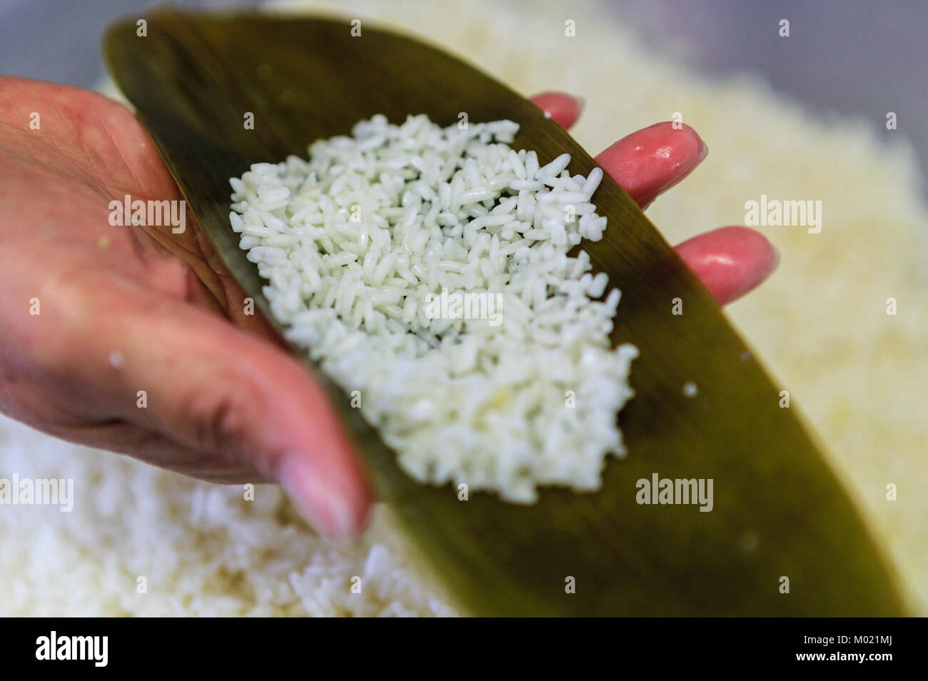 Making of handmade traditional Chinese Hak Gar Jung/Rice parcels Stock ...