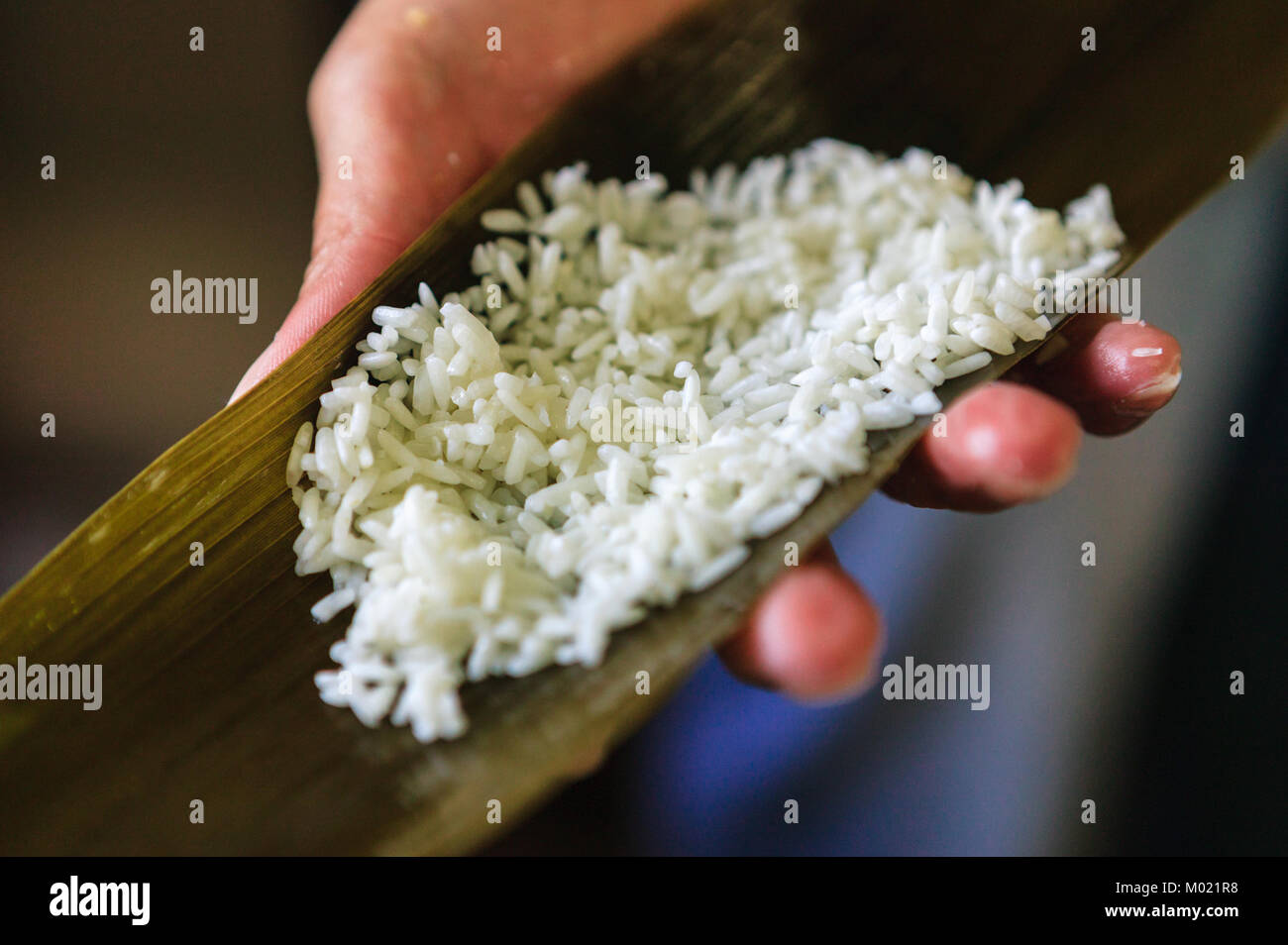 Making of handmade traditional Chinese Hak Gar Jung/Rice parcels Stock ...
