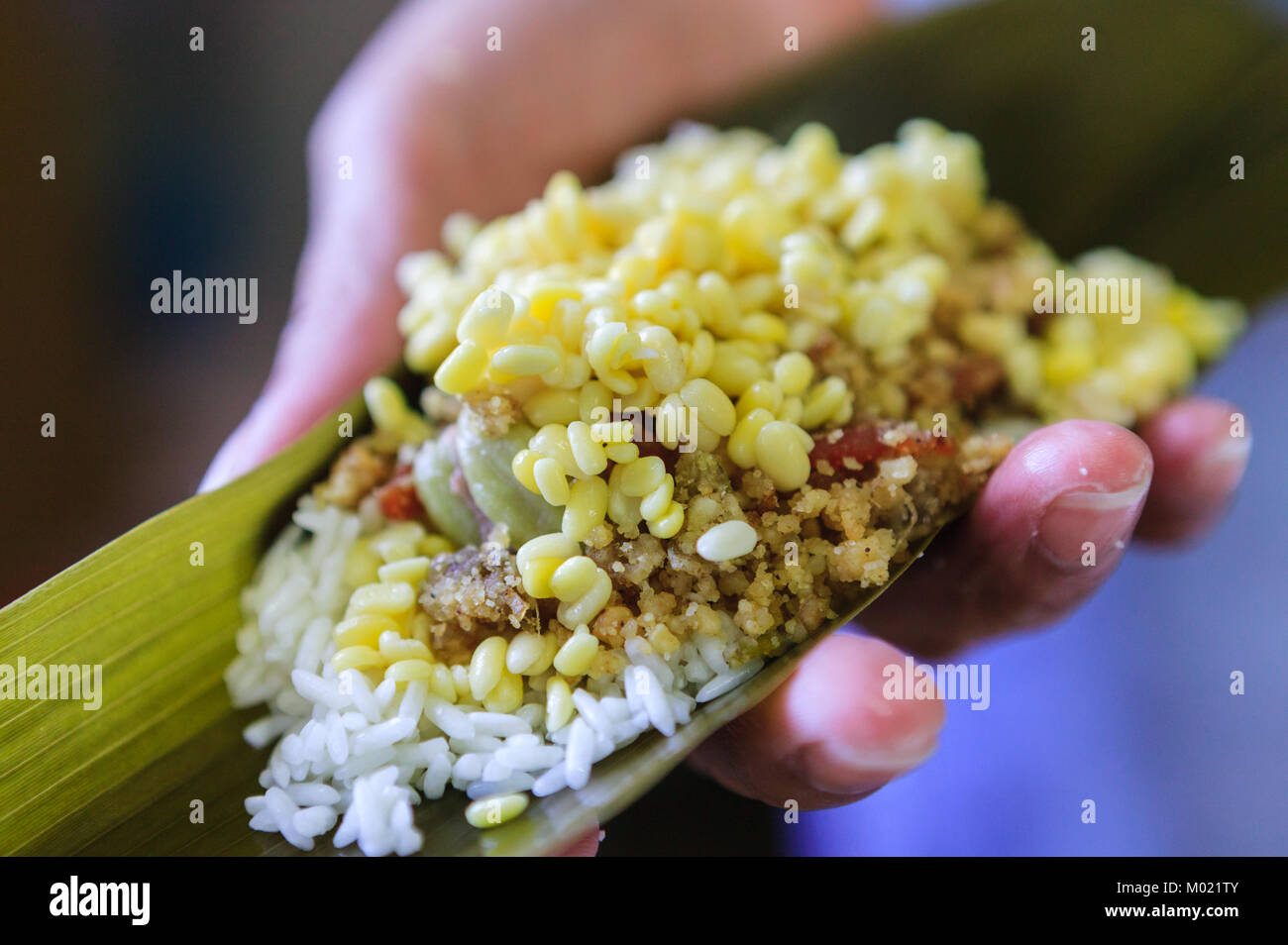 Parcel leaf High Resolution Stock Photography and Images - Alamy