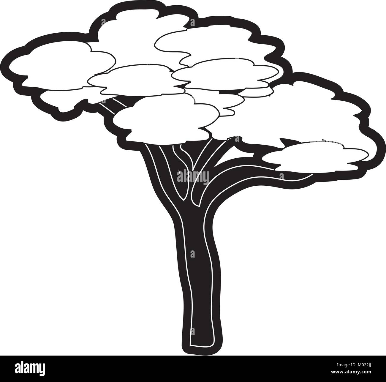 Umbrella pine tree Stock Vector Image & Art - Alamy