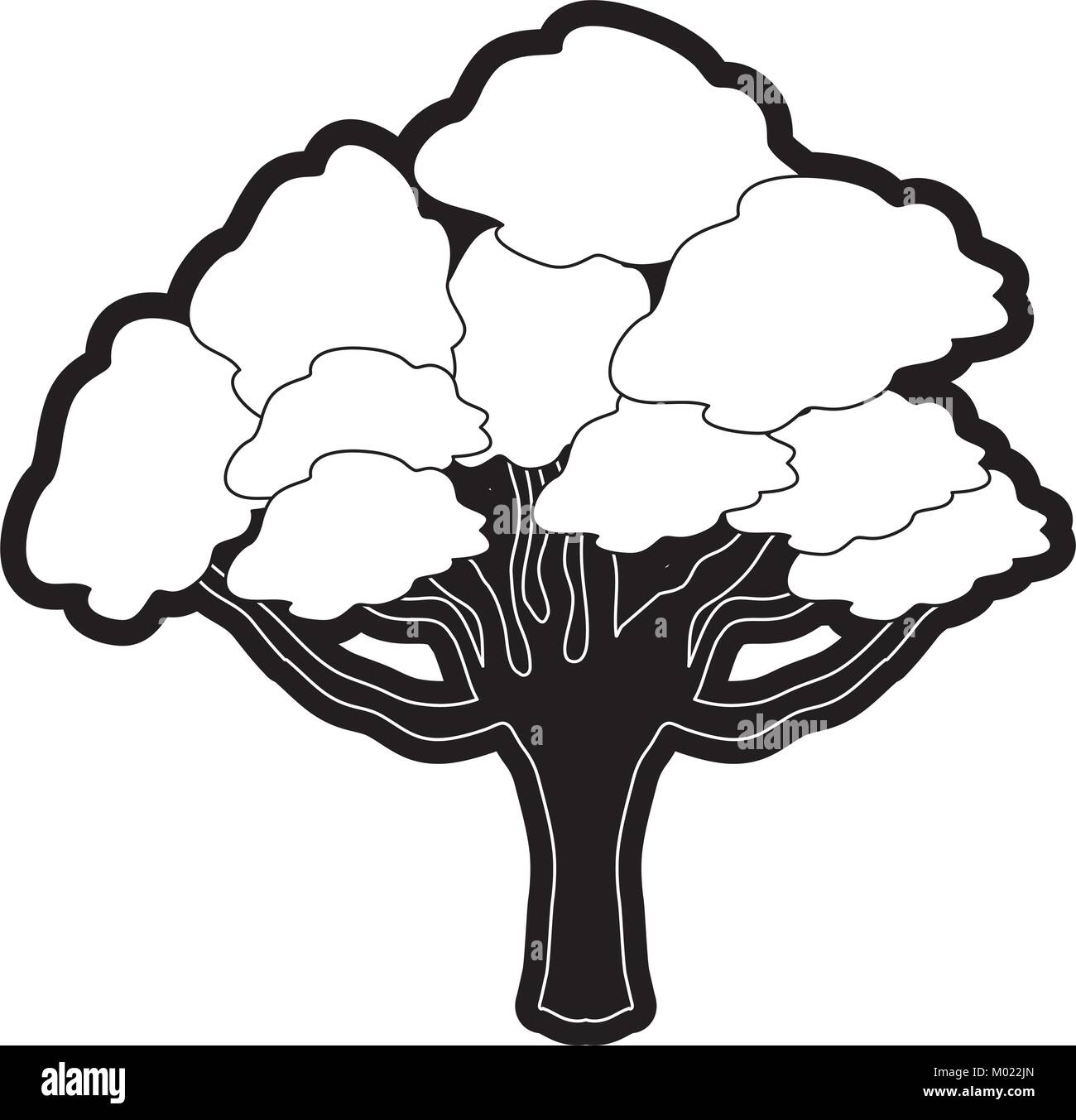 Elm tree design Stock Vector Image & Art - Alamy