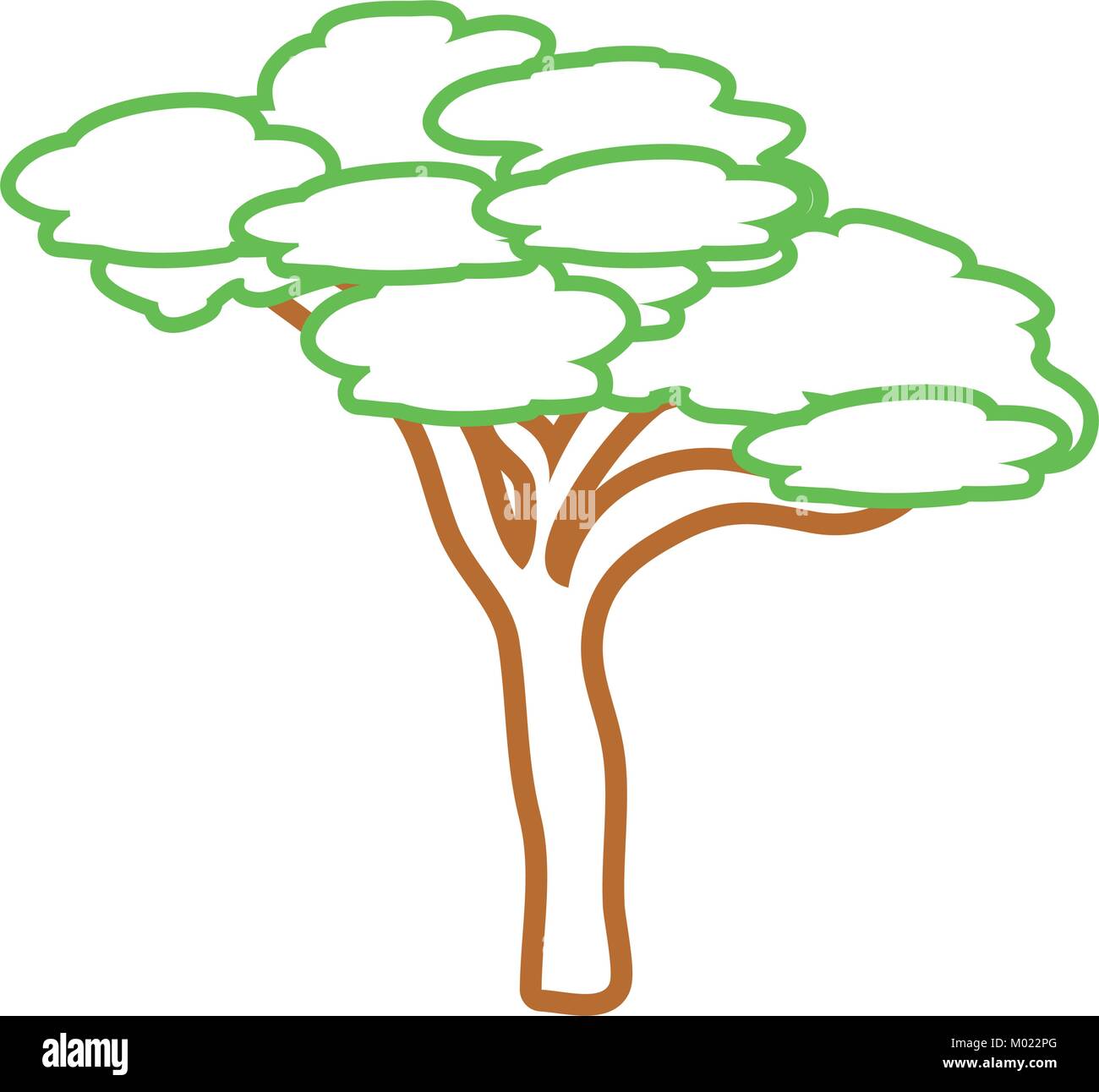 umbrella pine tree Stock Vector Image & Art - Alamy