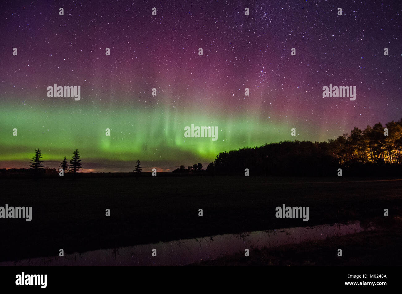 Purple sky stars hi-res stock photography and images - Alamy
