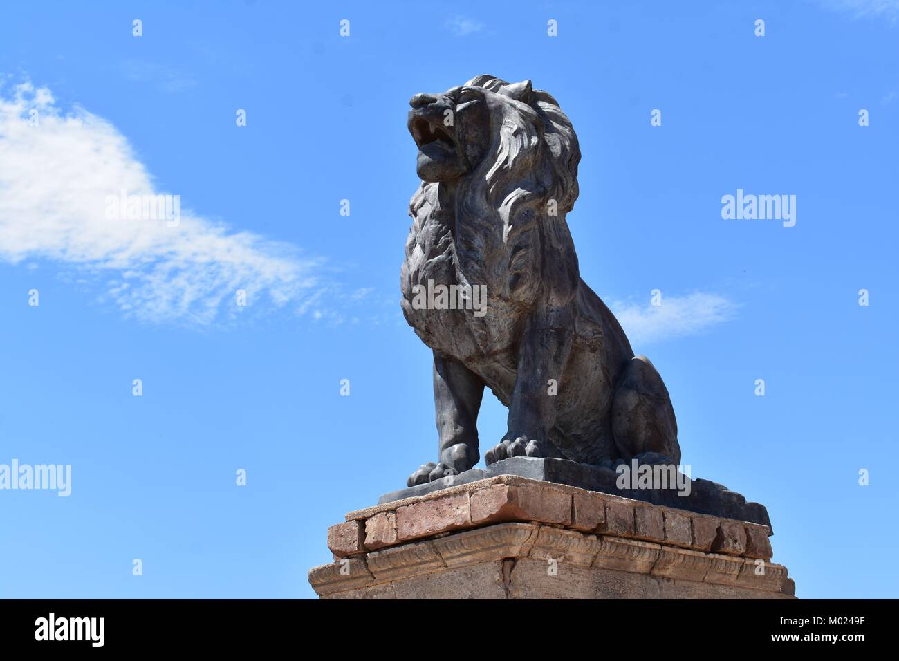 Lion sitting hi-res stock photography and images - Alamy