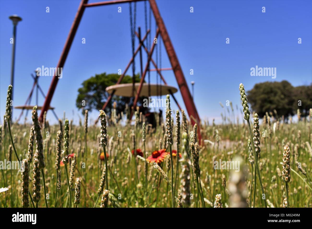 Oklahoma spring hi-res stock photography and images - Alamy