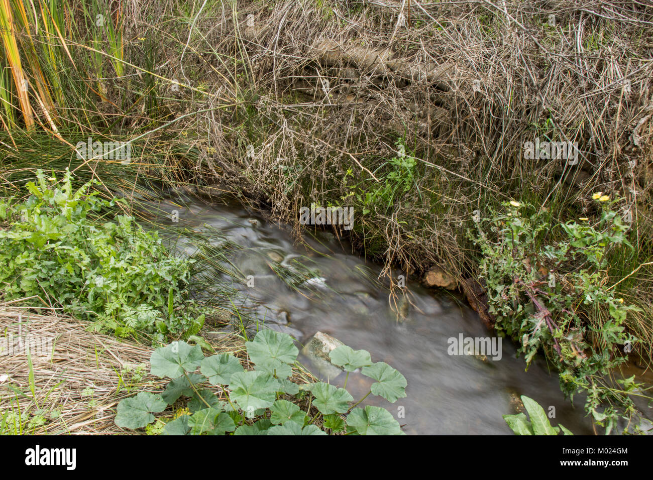 Beautiful waterfall streams flowing hi-res stock photography and images ...
