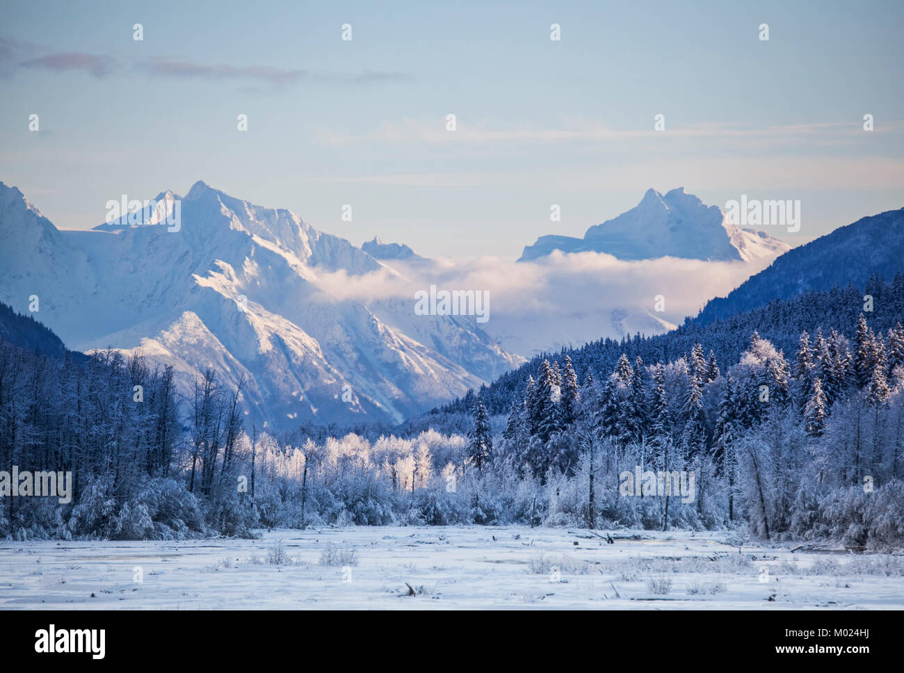 Chilkat mountains in Southeast Alaska with frost on the trees and a ...
