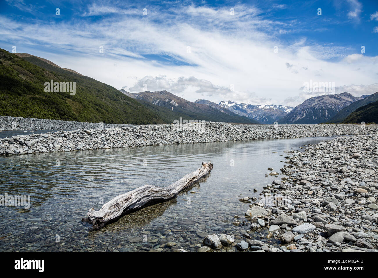 A dried up driftwood log rests in the rocky shallows of the Waimakariri ...