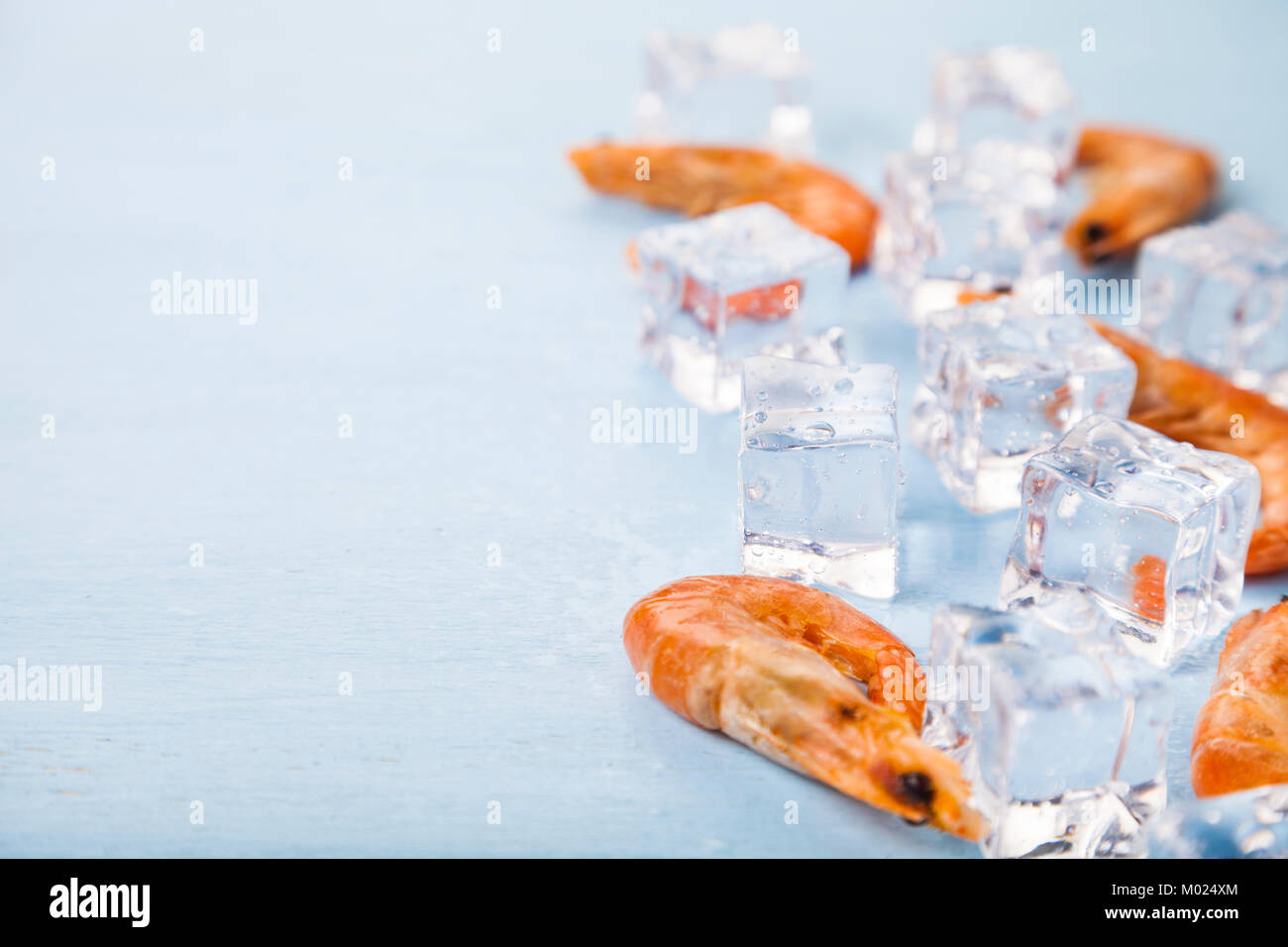 Fresh shrimp on ice on blue table, top view. Culinary seafood eating ...
