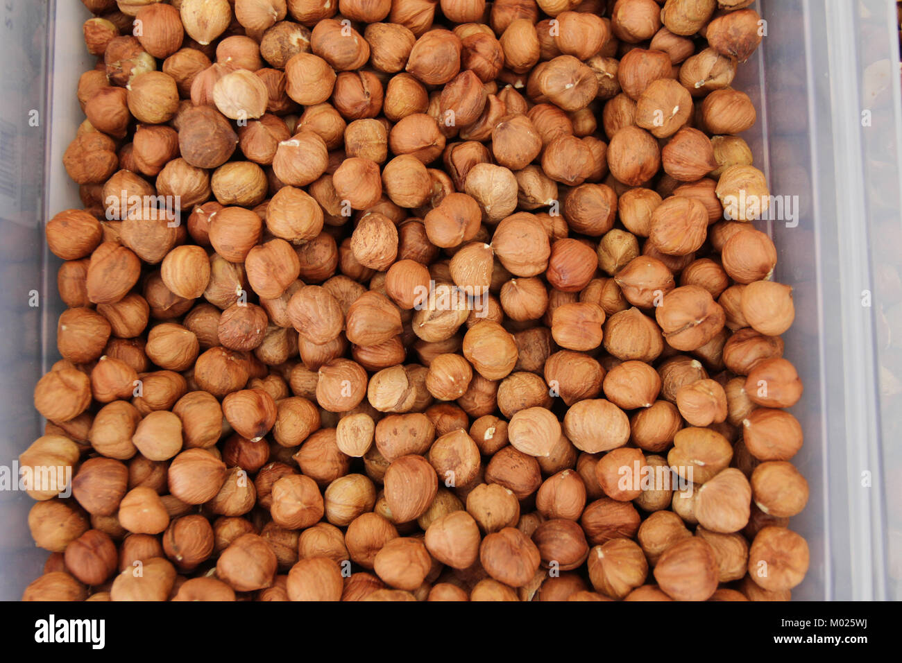 Hazelnuts. Peeled Raw Hazelnuts. Fresh organic Nuts. Raw nuts ...