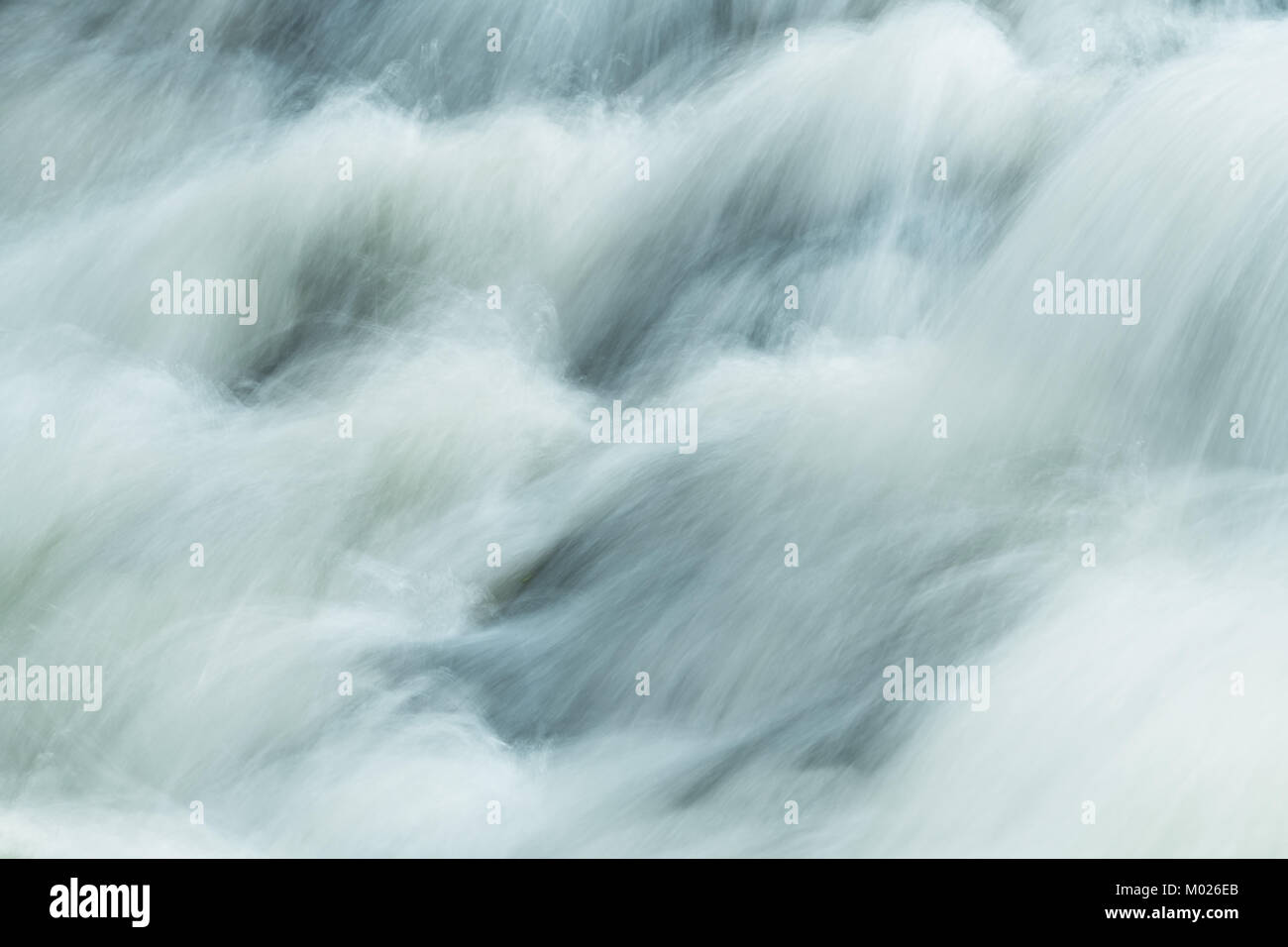 Jungle love book hi-res stock photography and images - Alamy