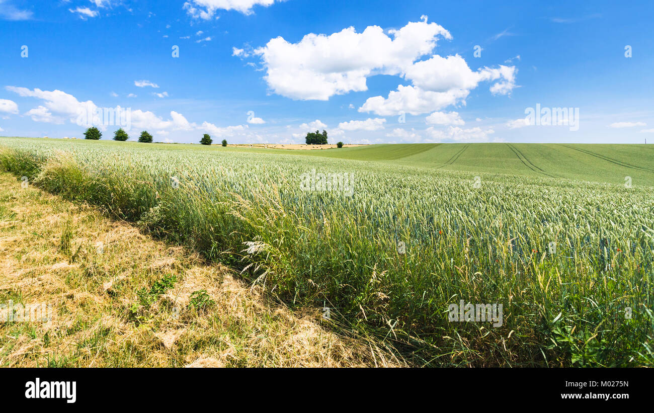 Picardy scenery hi-res stock photography and images - Alamy