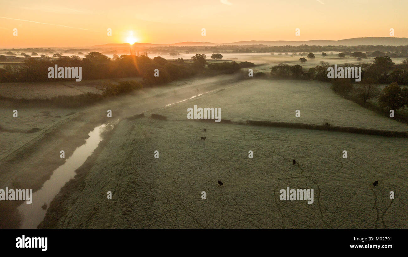 River adur wildlife hi-res stock photography and images - Alamy