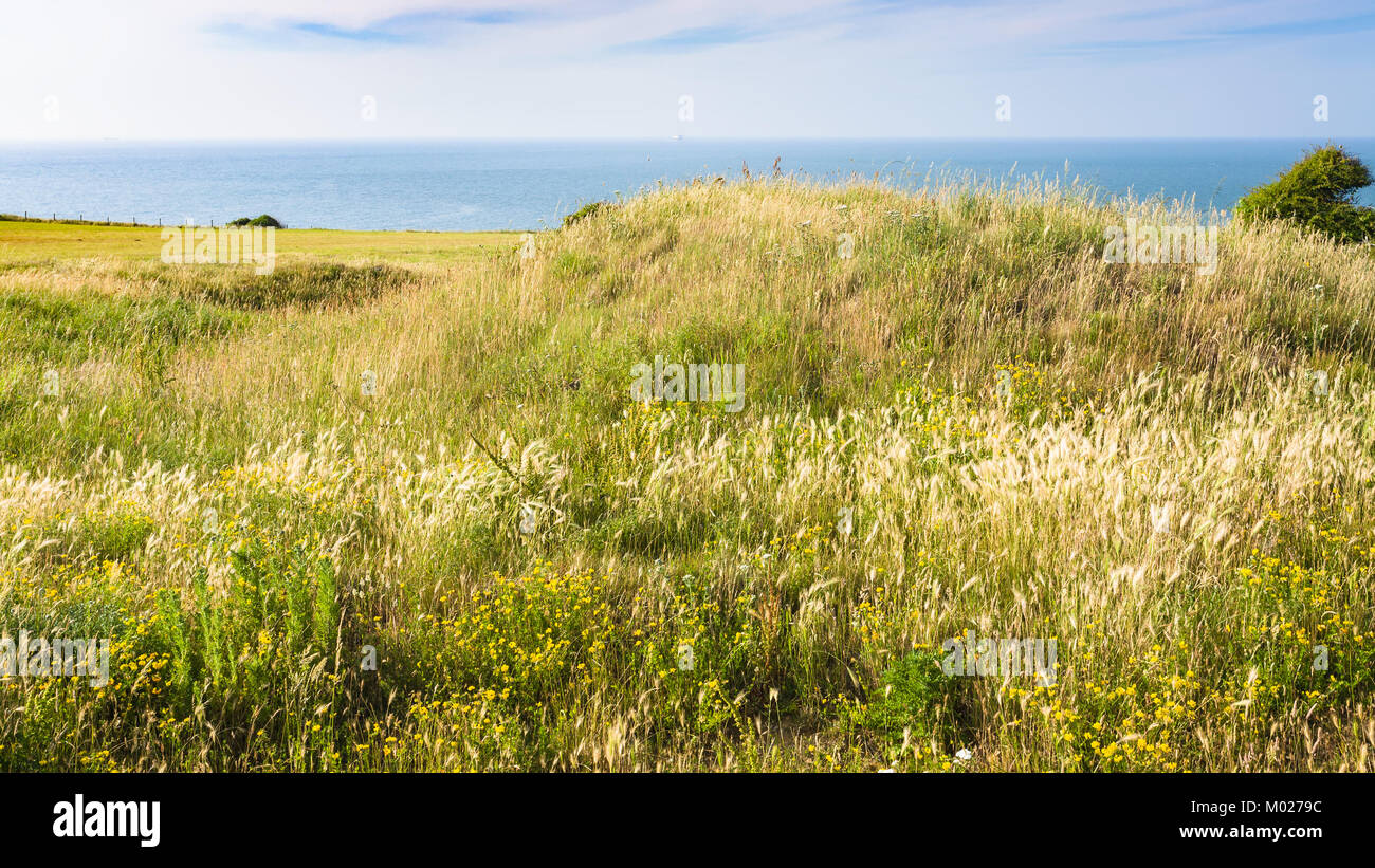 travel to France - meadow on Cap Gris-Nez of English channel in Cote d ...